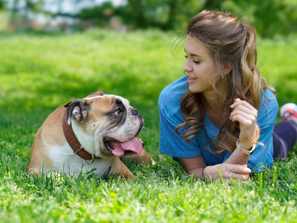 Home - Friends of Rose Park, Washington DC